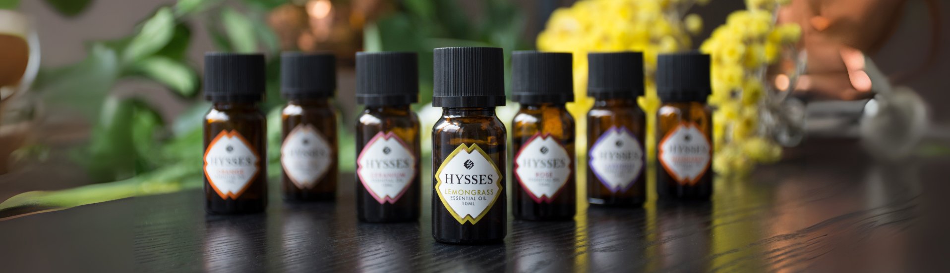 Essential Oils 100% Pure Plant Extracts for | HYSSES SG – Hysses Official