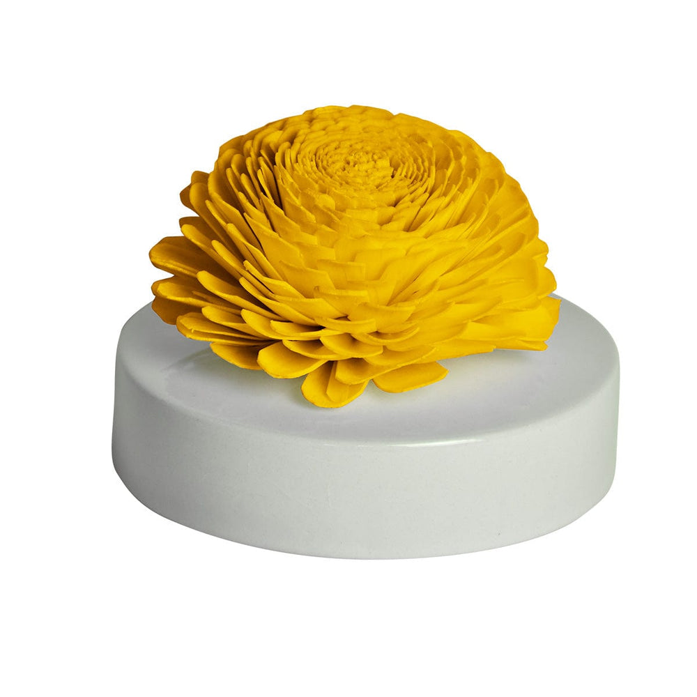 Big Bloom Solar Diffuser | Bergamot Frankincense – Hysses Official